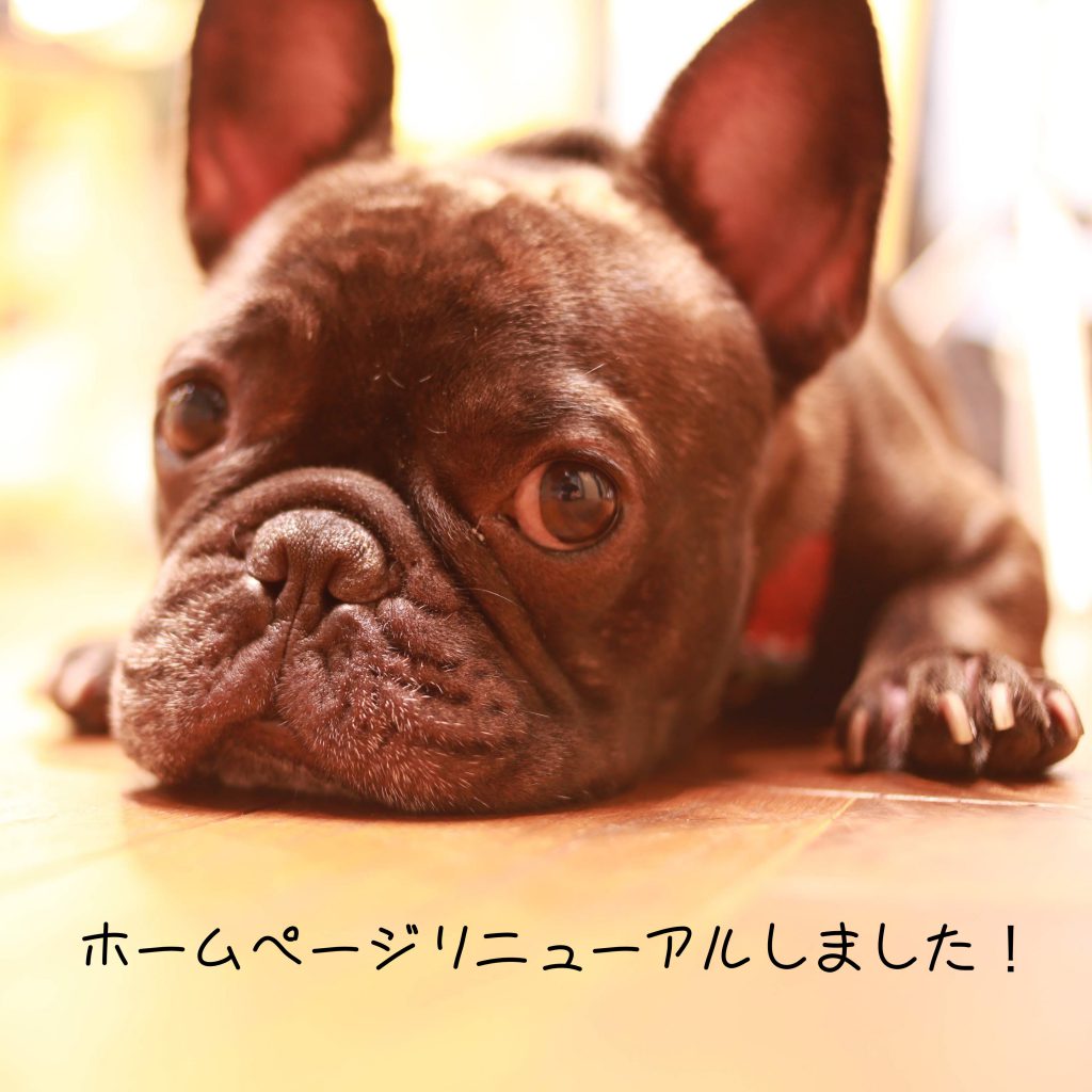 atta atta2co. – 横浜 保土ヶ谷 天王町 の小さな美容室 アッタ＆アッタニコ